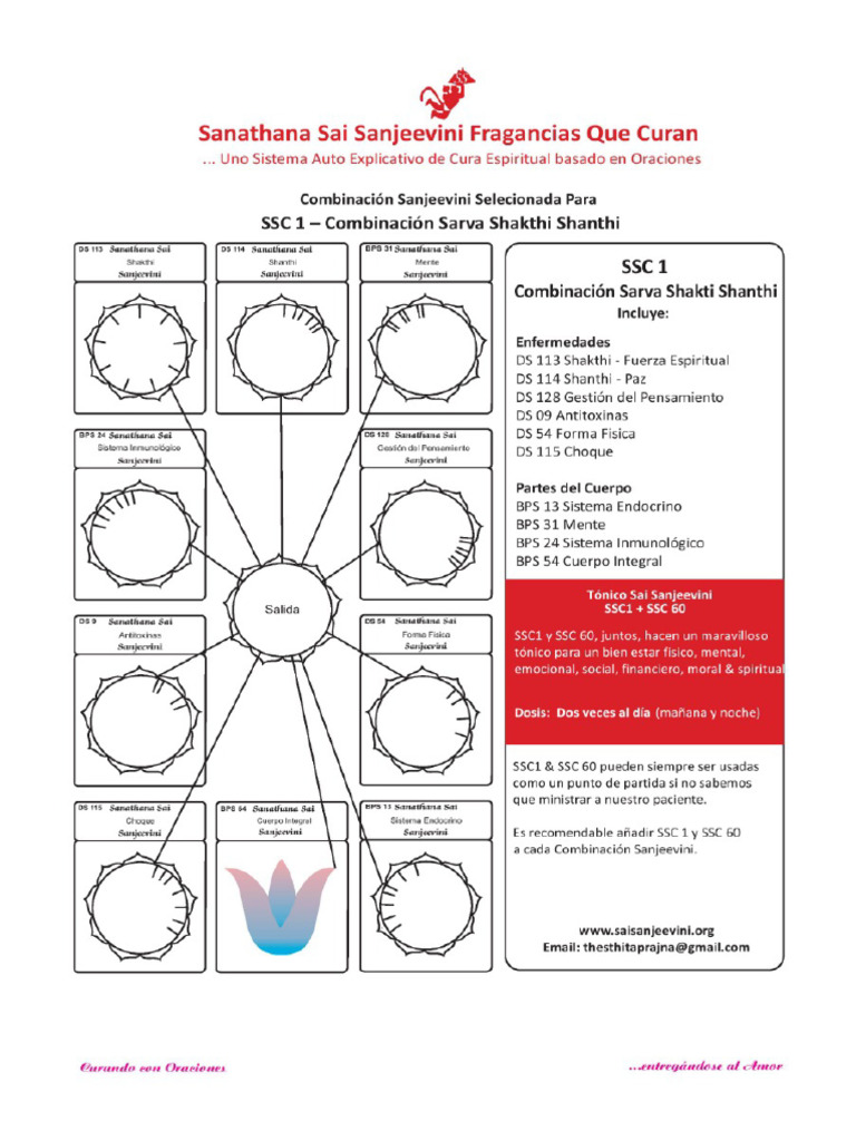 60 Combinaciones | PDF