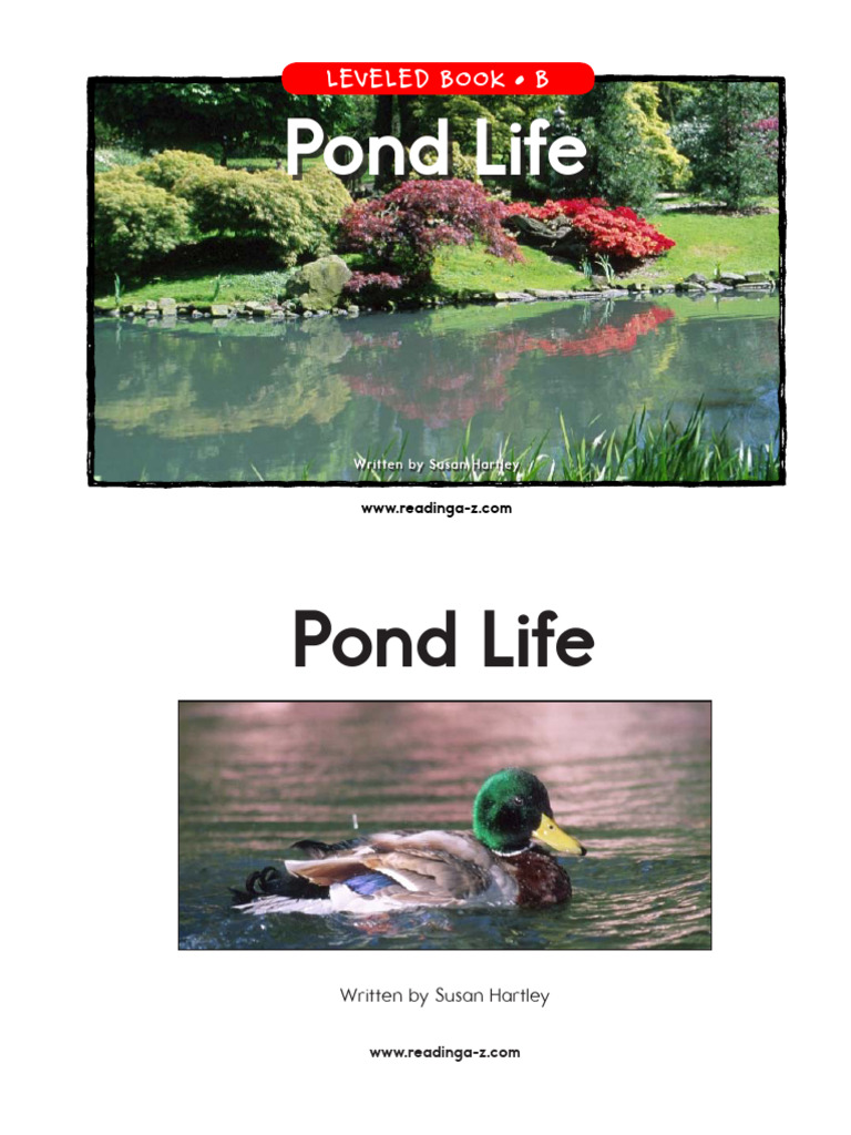Pond Life: Level B Book Overview | PDF | Hydrology | Bodies Of Water