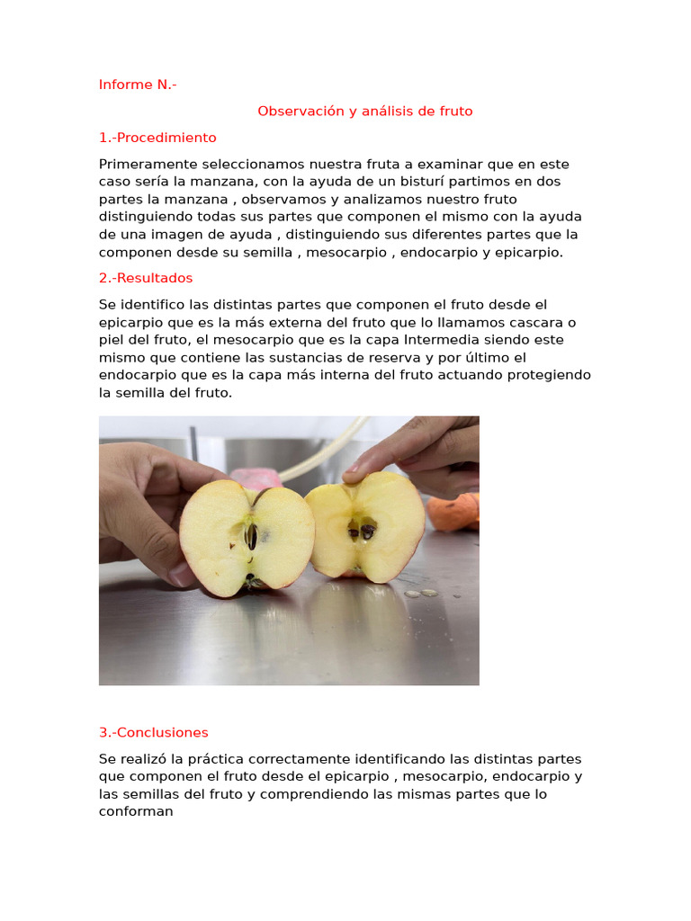 Fruto LabFarmacobotanica 2 | PDF