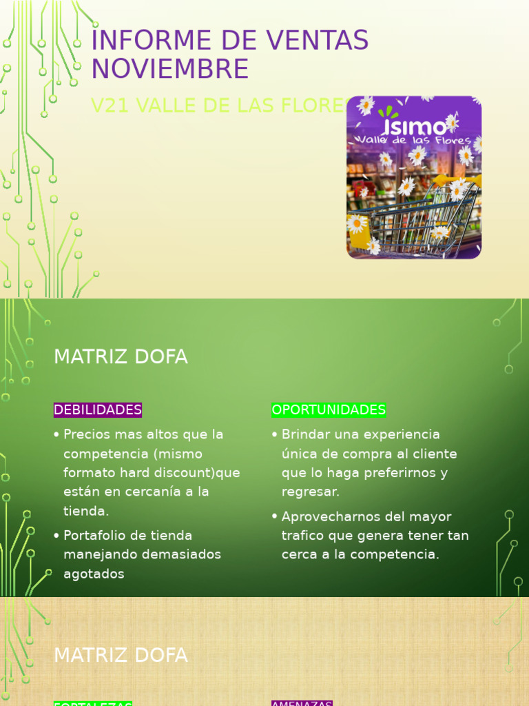 Informe Ventas Noviembre v21 | PDF