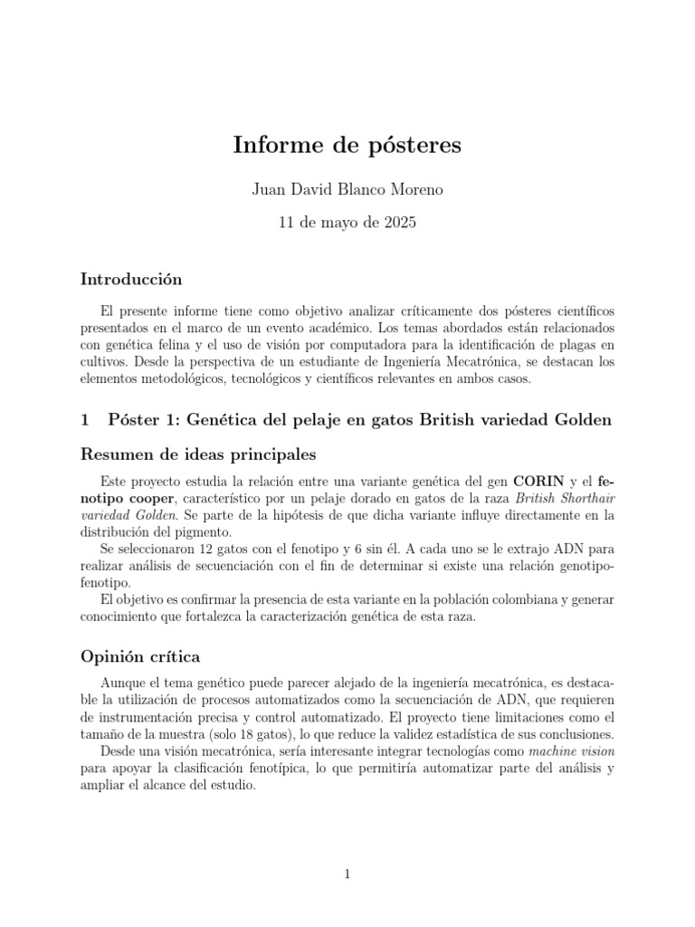 Informe Modelos Posters | PDF | Visión por computador | Inteligencia artificial