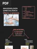 Guía de Reparos Anatómicos Óseos | PDF