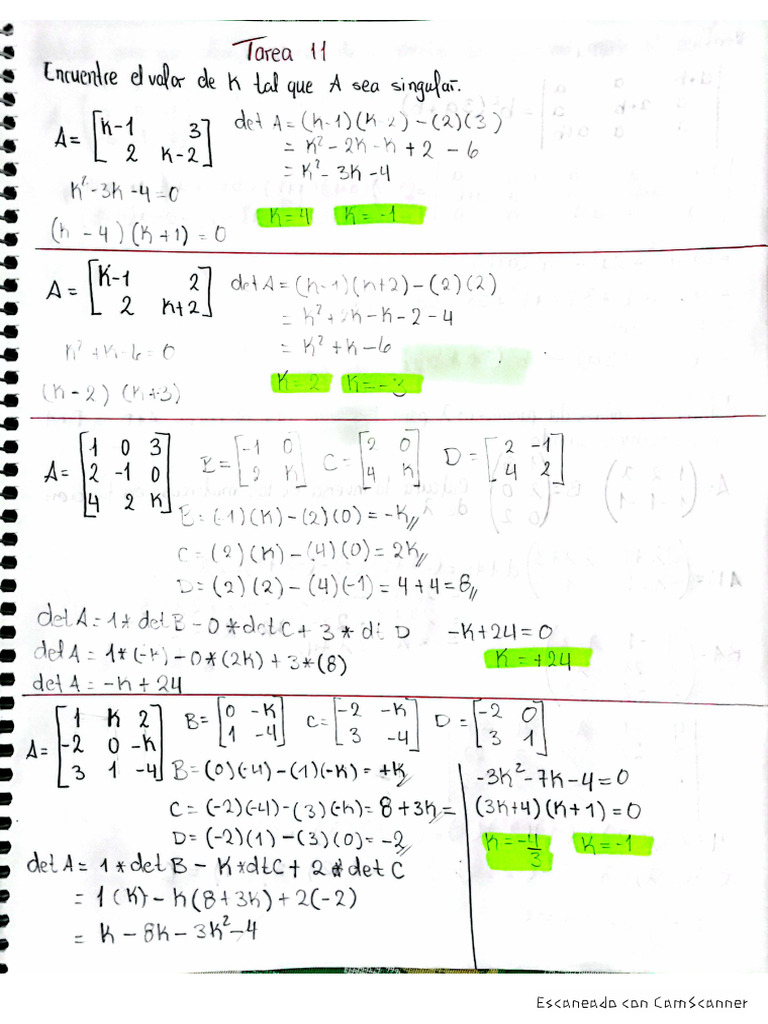 Álgebra Lineal | PDF