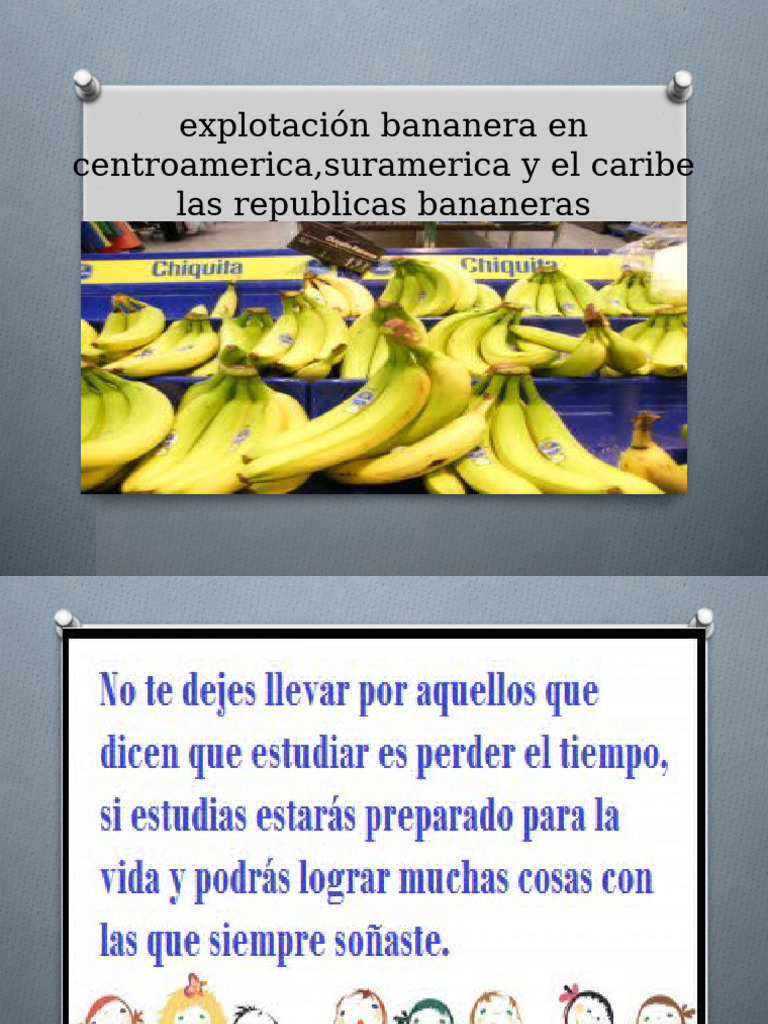 Explotación Bananera en Centroamerica | PDF