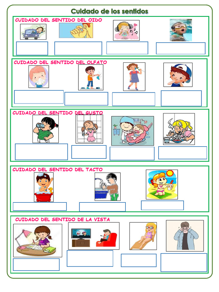 Cuidado Del Sentido Del Oido | PDF