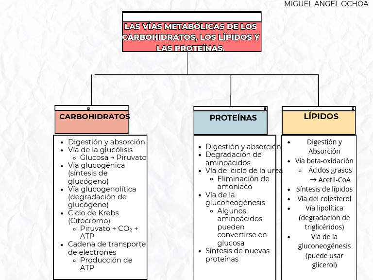Red and Yellow ModChart | PDF