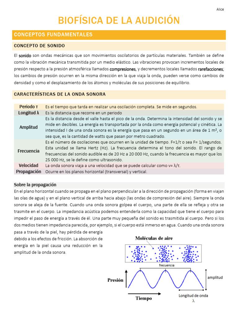 Alice Summary - Audición | PDF | Escuchando | Sonido