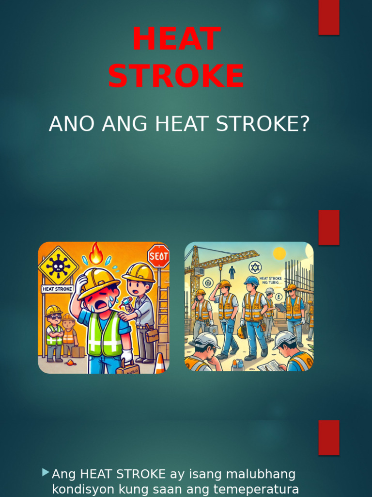 Heat Stroke | PDF