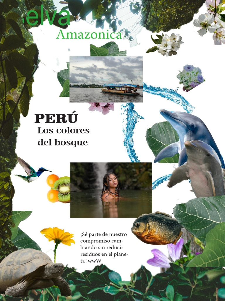 Collage Selva Amazonas Peruana | PDF