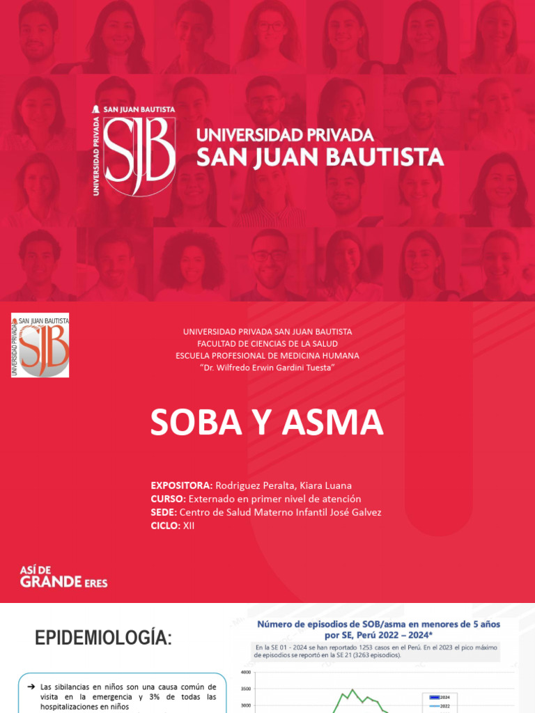 Soba y Amsa | PDF | Asma | Enfermedades y trastornos humanos
