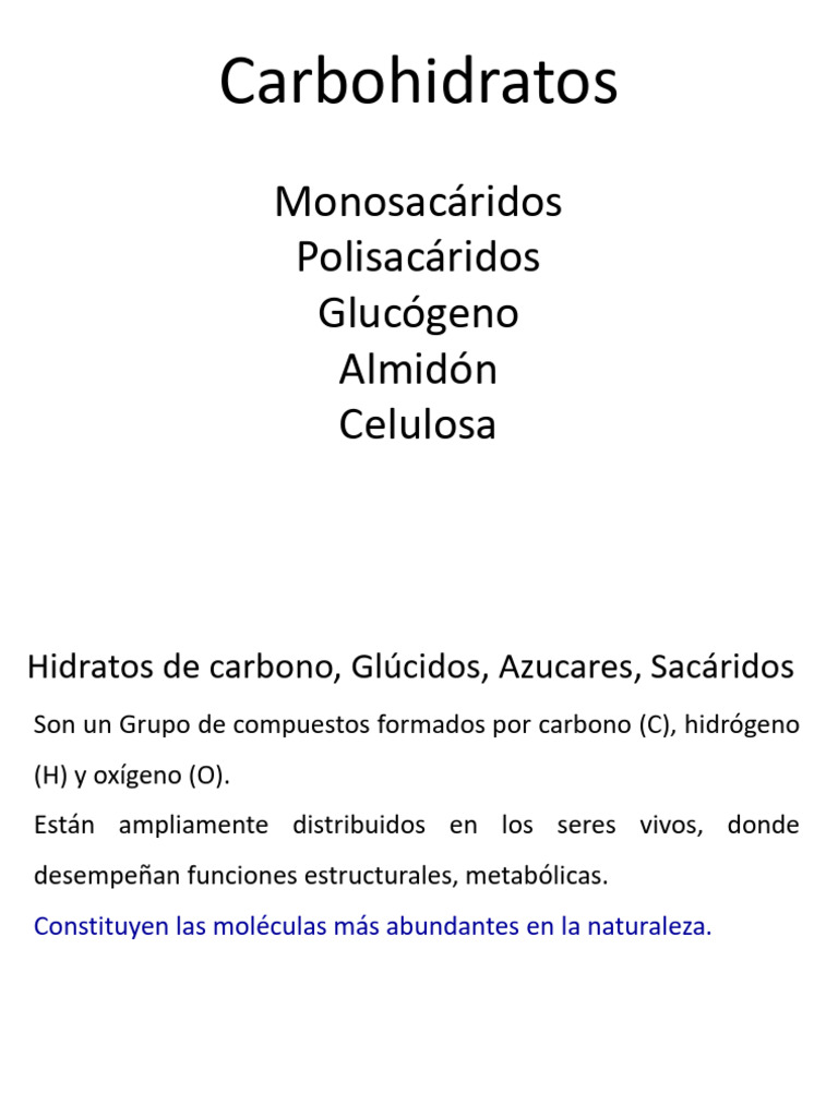 G C6 Carboh BCM SA2023 | PDF | Carbohidratos | Polisacárido