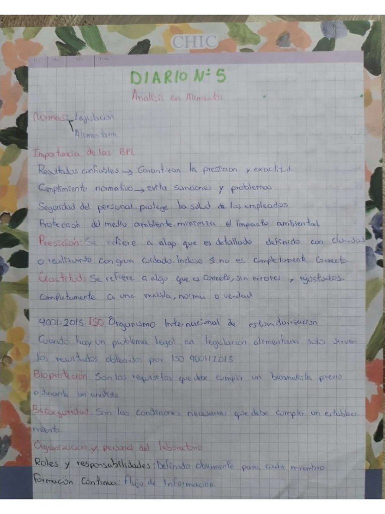 Diario 5 | PDF