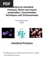 Formalin Ethyl-Acetate Concentration Technique (FEACT) | PDF | Fixation ...