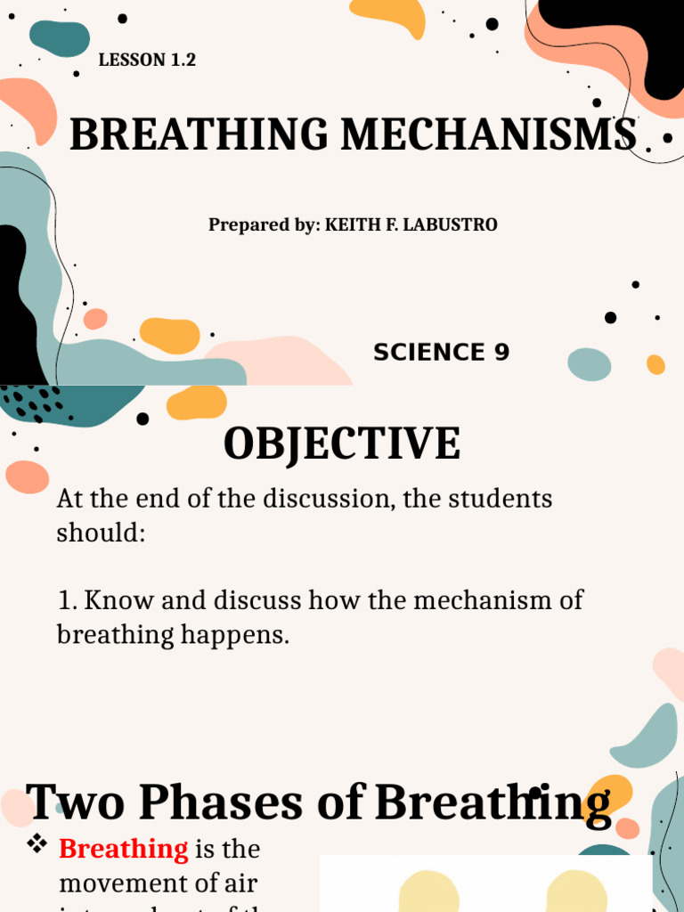 Science 9 Lesson 1.2 | PDF | Lung | Breathing