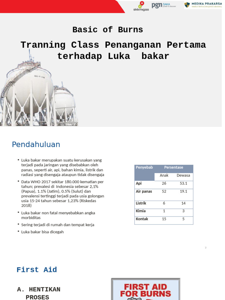 1. Materi Basic of Burns | PDF