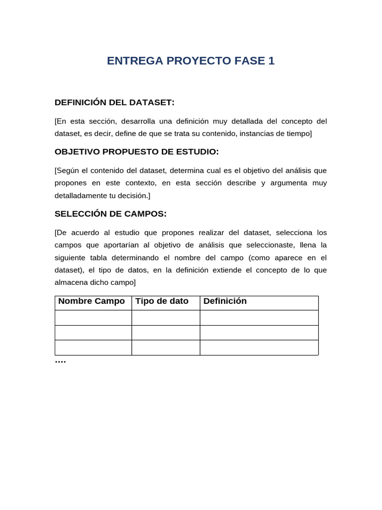 Formato Entrega Proyecto Fase 1 | PDF