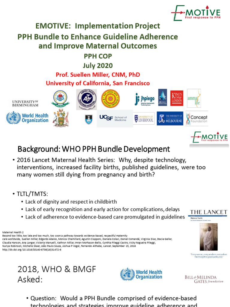 PPH Bundle Implementation for Maternal Care | PDF | Health Economics ...