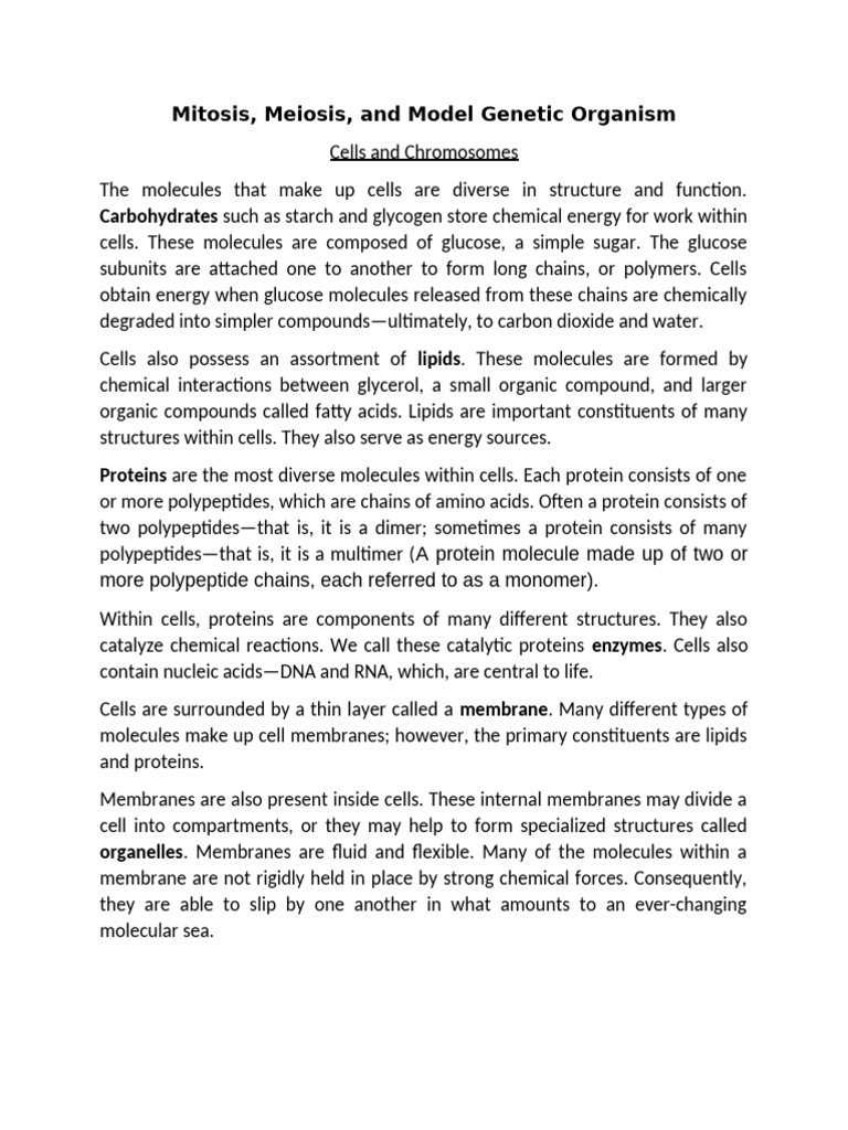 Mitosis Meiosis and Model Genetic Organism | PDF | Mitosis | Meiosis