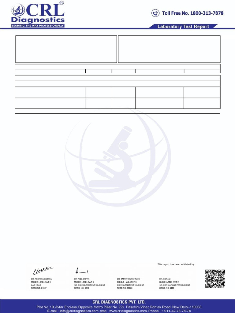 Labreportnew - 2025-05-06T210642.728 | PDF