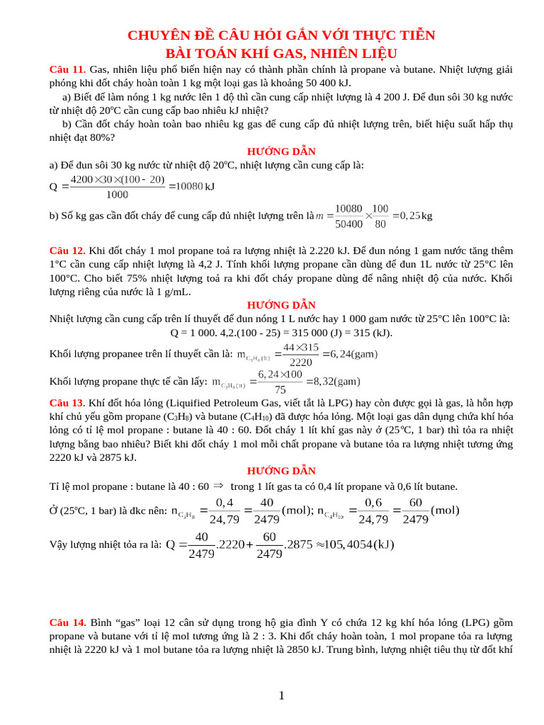 Bai Toan Dot Chay Gas Nhien Lieu | PDF