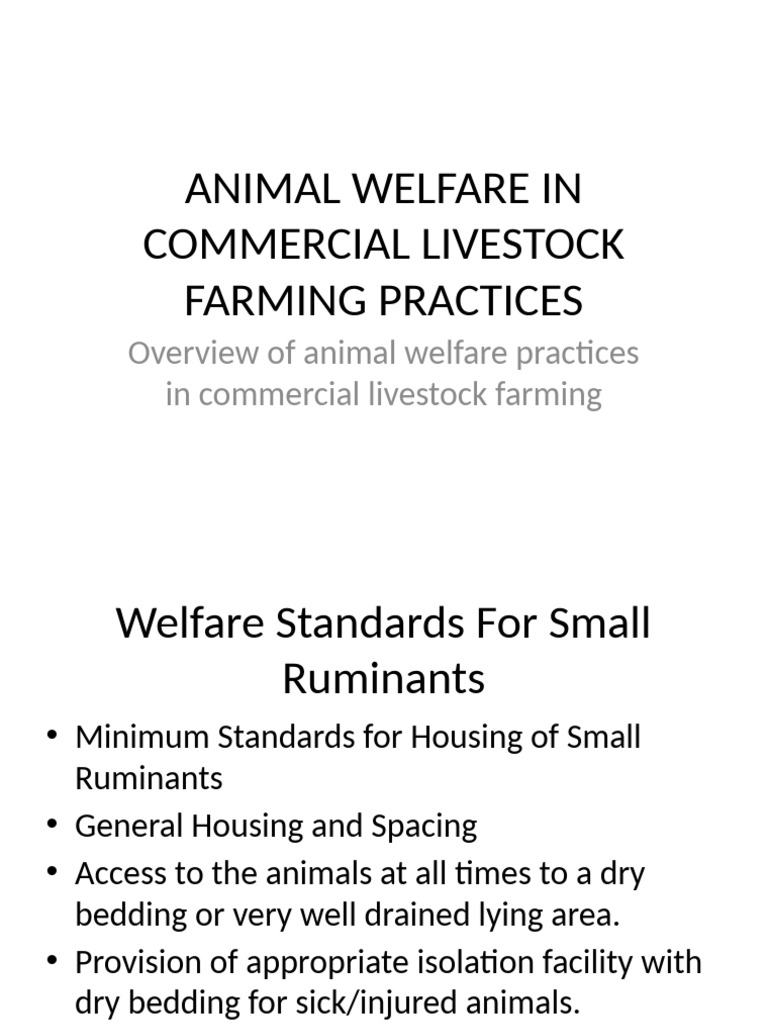 Animal Welfare in Livestock Farming | PDF