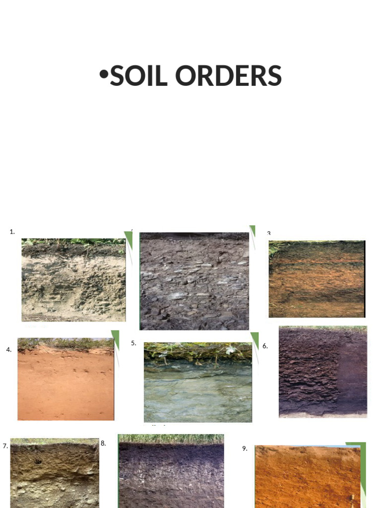 Soil Quiz | PDF