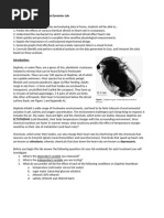 RQP10 (Maggots) | PDF
