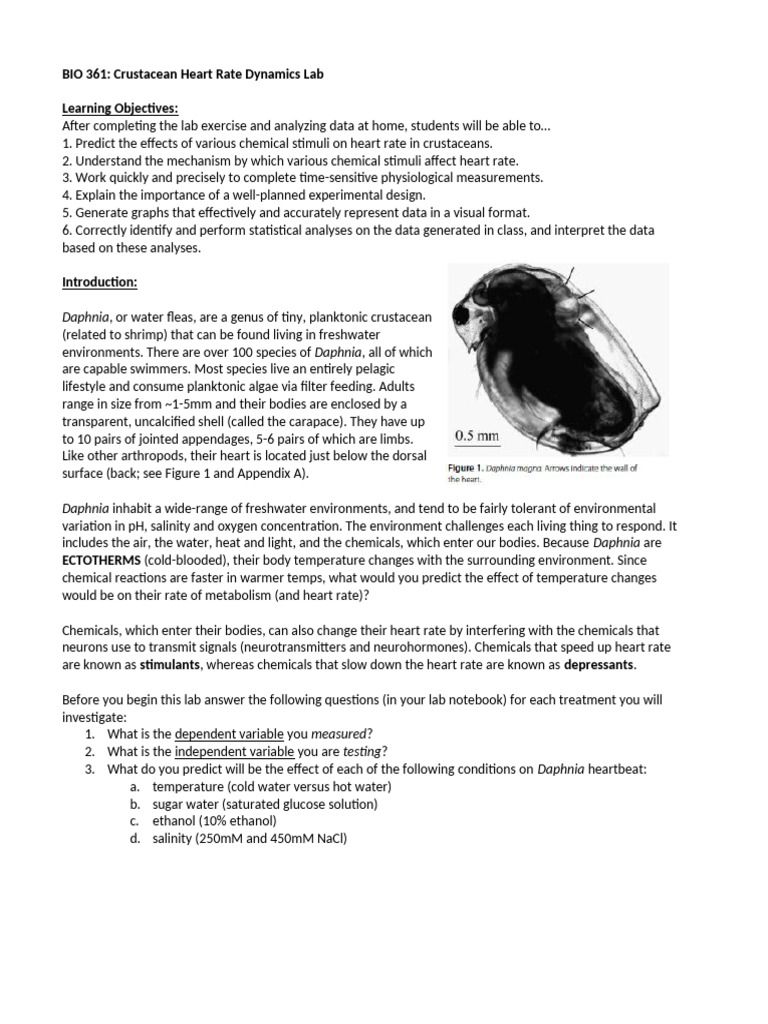 Daphnia Heart Rate Lab 2024 - Tagged | PDF | Water | Heart Rate
