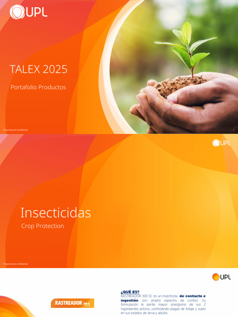 Eficacia de Trinica en Gorgojo de Andes | PDF | Insectos