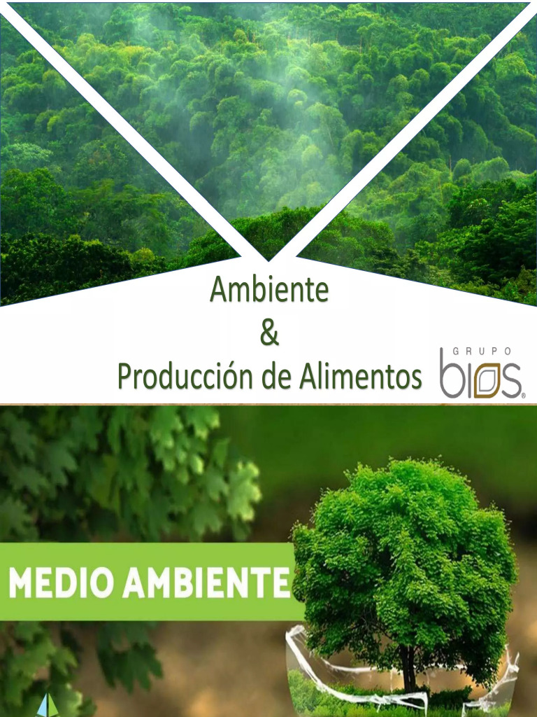 Ley 2169 de 2021 | PDF