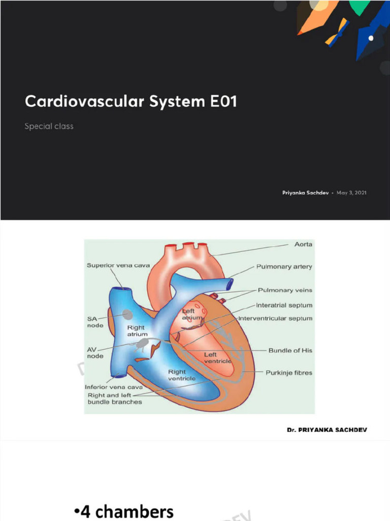 Cardiovascular System E01 No Anno 2 | PDF