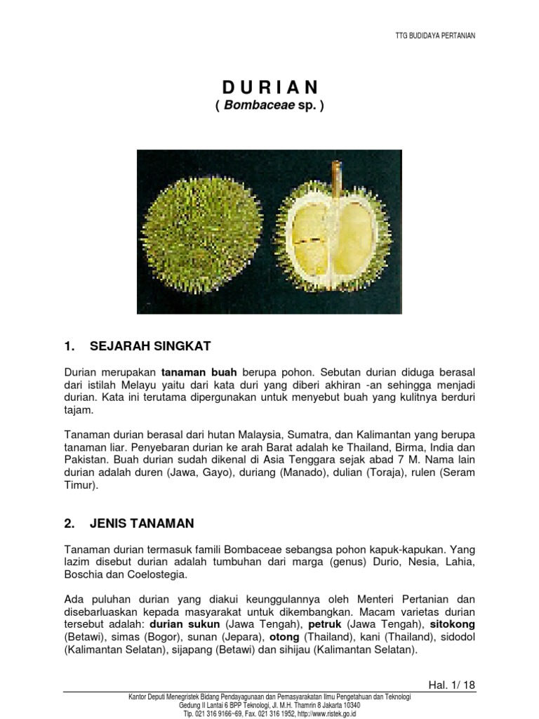Budidaya Tanaman Durian dan Coelostegia | PDF | Griya & Taman