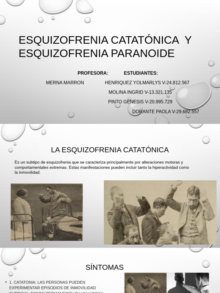Esquizofrenia Catatónica y Esquizofrenia Paranoide | PDF ...