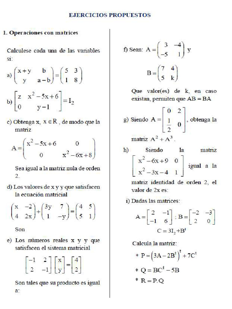 Matrices - Ejercicios | PDF