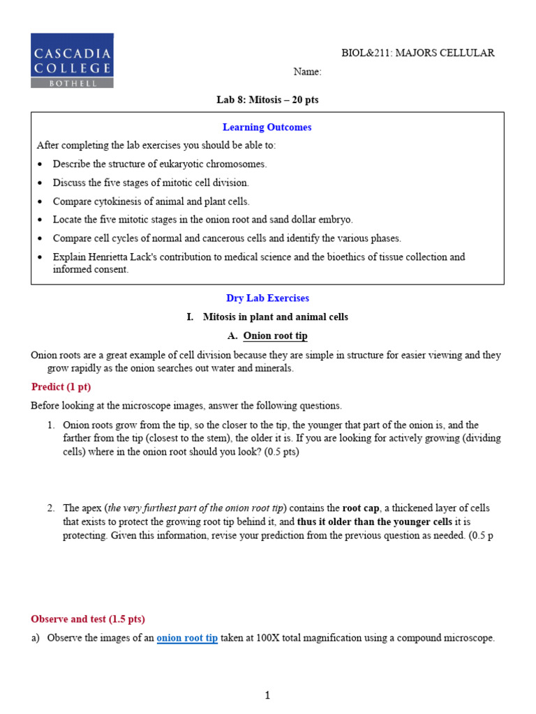 Lab 8 - Cell Division (Dry Lab) - 2022 - Revised | PDF | Mitosis | Biological Processes