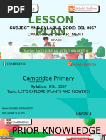 Plant Structure and Functions Guide | PDF | Plants | Leaf