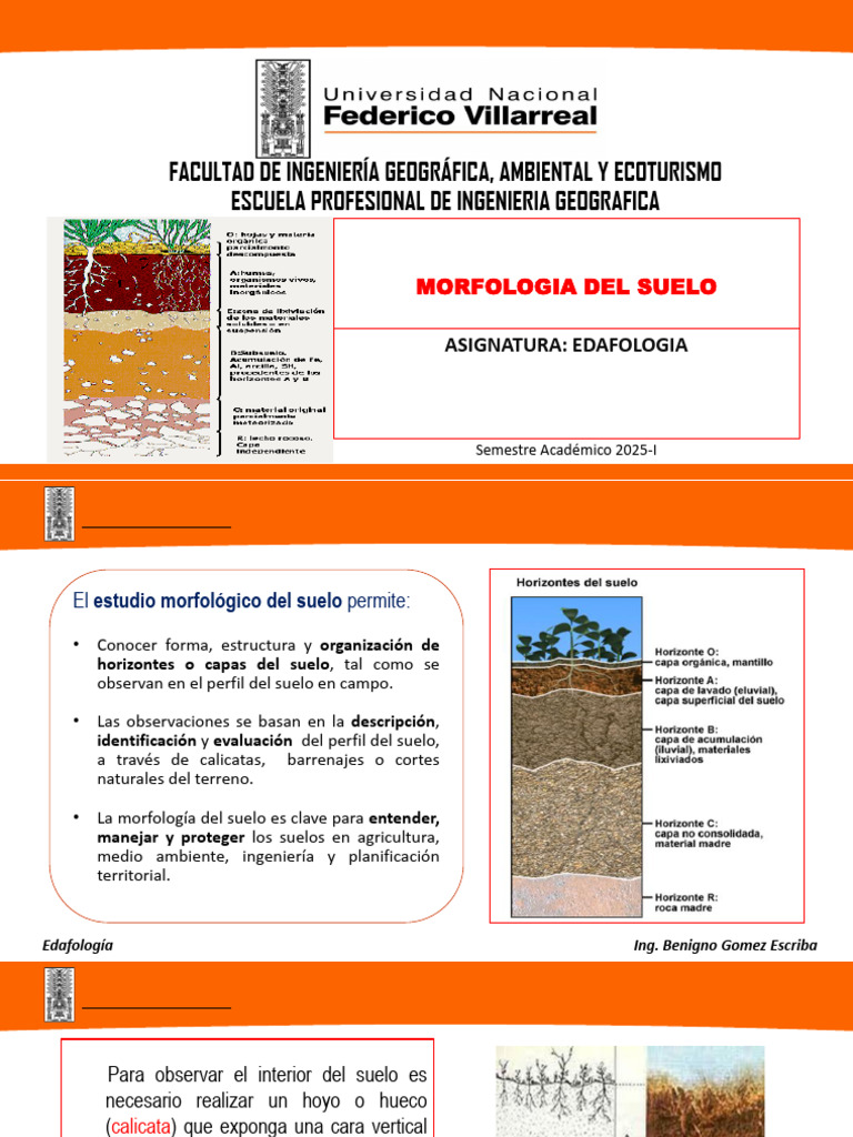 Clase 05 Edafologia - Morfologia Del Suelo | PDF | Suelo | Roca (geología)