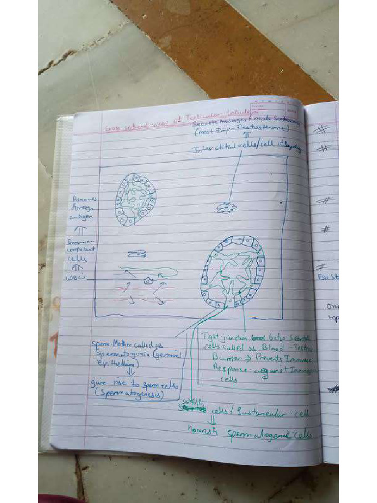 Chapter 2 Bio Notes | PDF