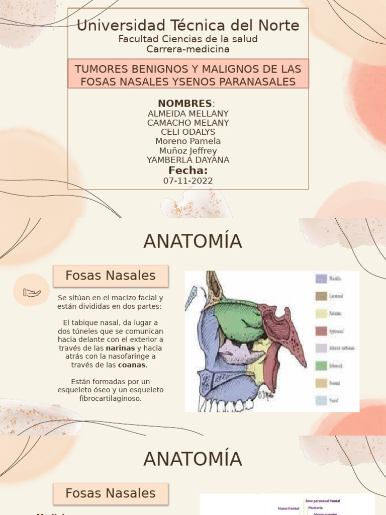 Tumores Nariz y Senos Paranasales | PDF | Nariz humana | Cabeza y cuello humanos