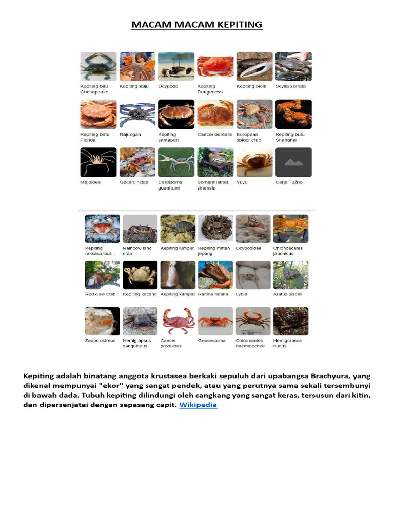 Jenis-Jenis Kepiting dan Anatominya | PDF