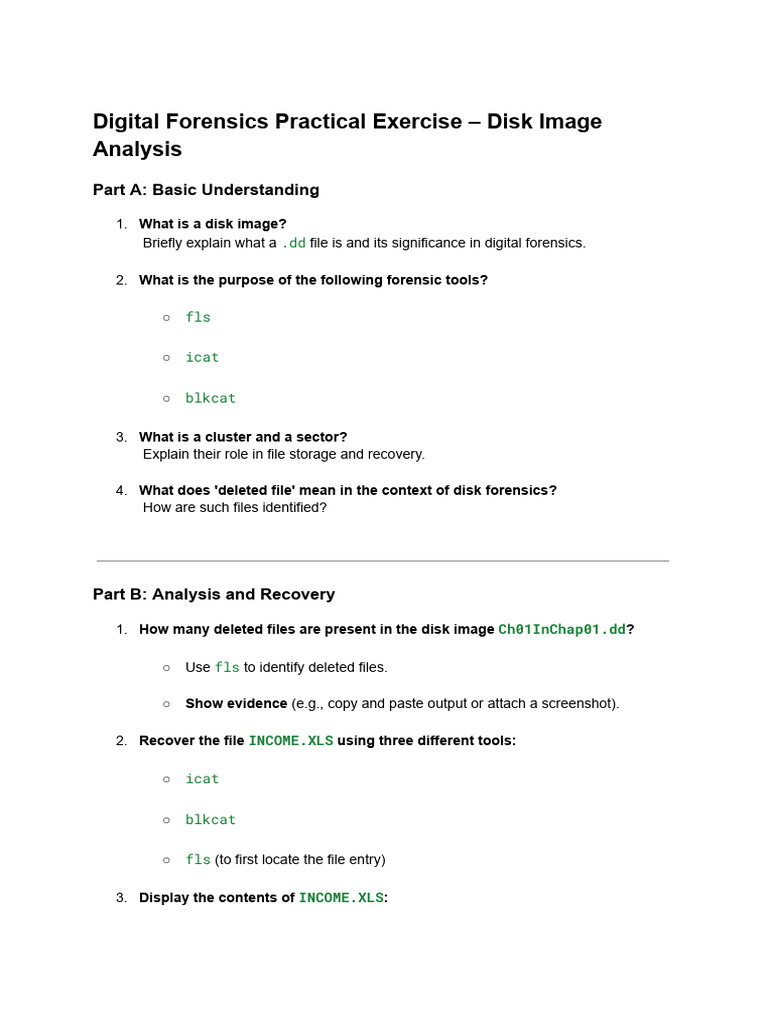 Digital Forensics Practical Exercise - Disk Image Analysis | PDF