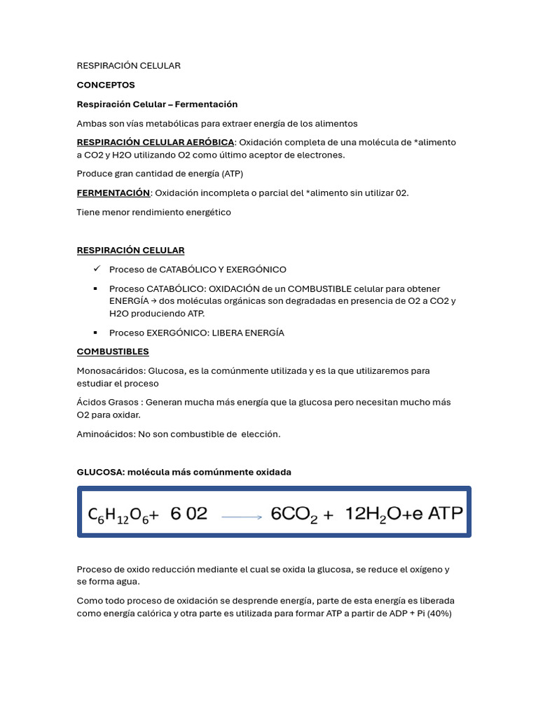 Respiraci-N Celular Resumen | PDF | Trifosfato de adenosina | Respiración celular