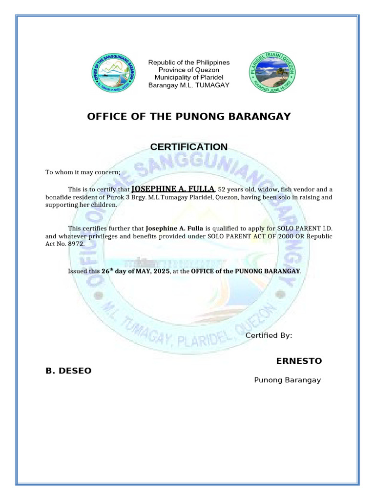 08-007 Certification of Solo Parent | PDF