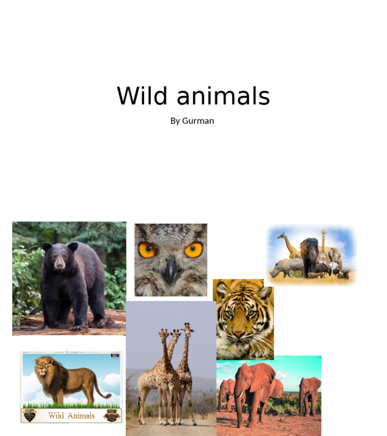 Presentation Animals | PDF