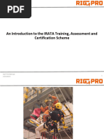 IRATA Level 3 Theory Exam Guide | PDF | Risk | Risk Assessment