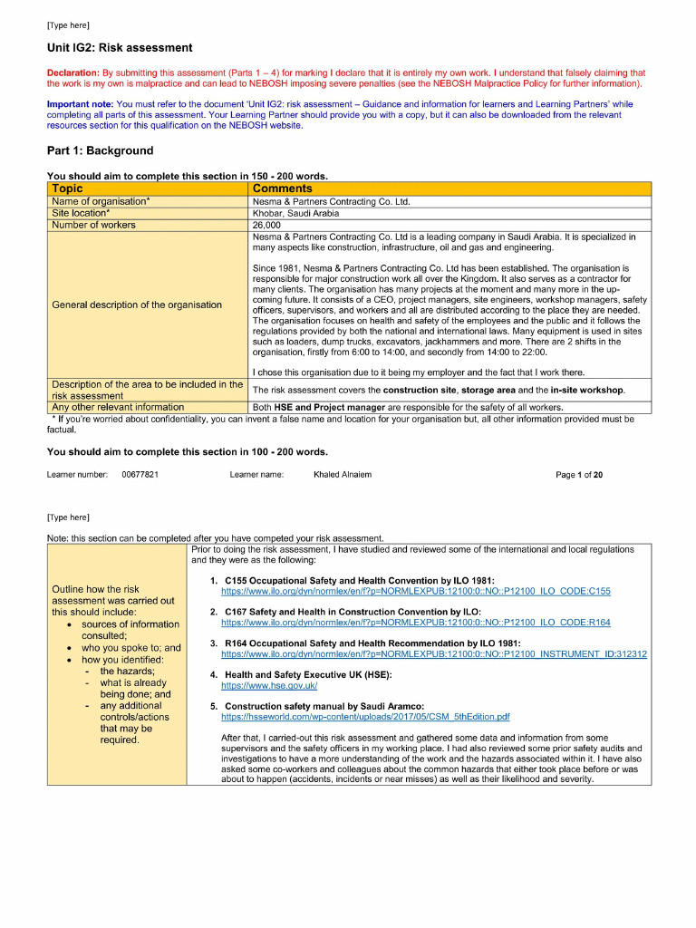 Ig2 Risk Assessment For Any Copany | PDF