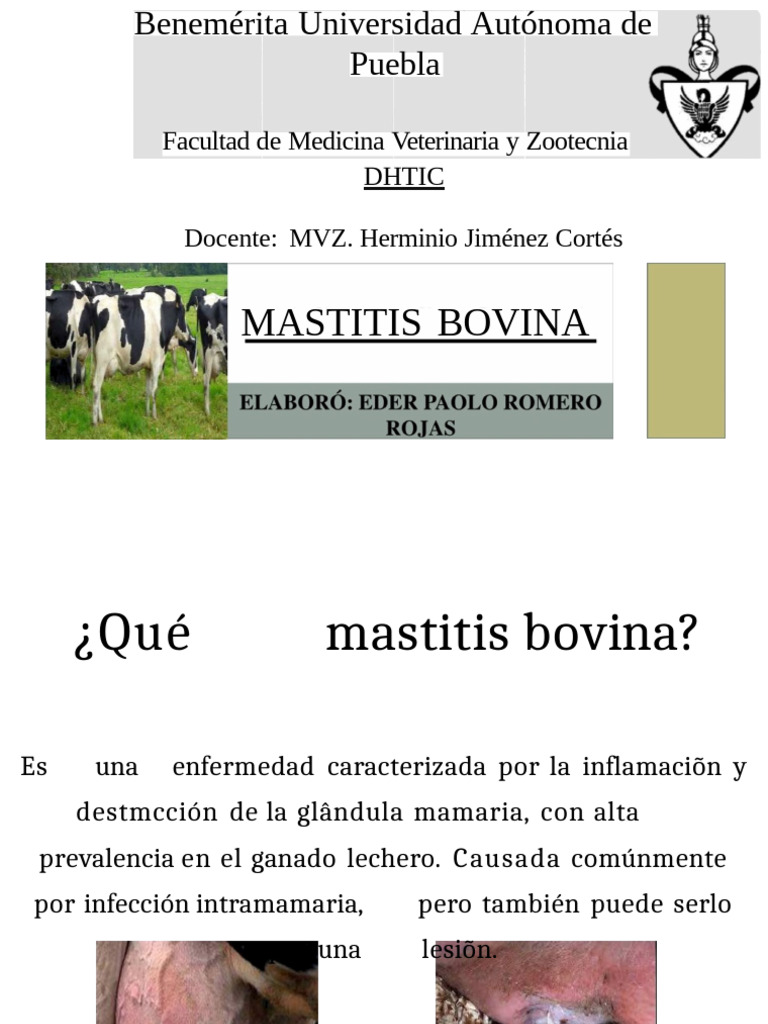 Mastitis | PDF | Medicina CLINICA | Enfermedades y trastornos humanos