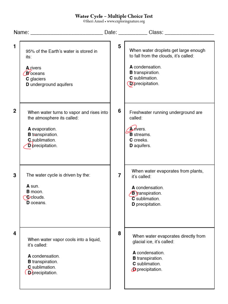 Water Cycle MultipleChoice | PDF