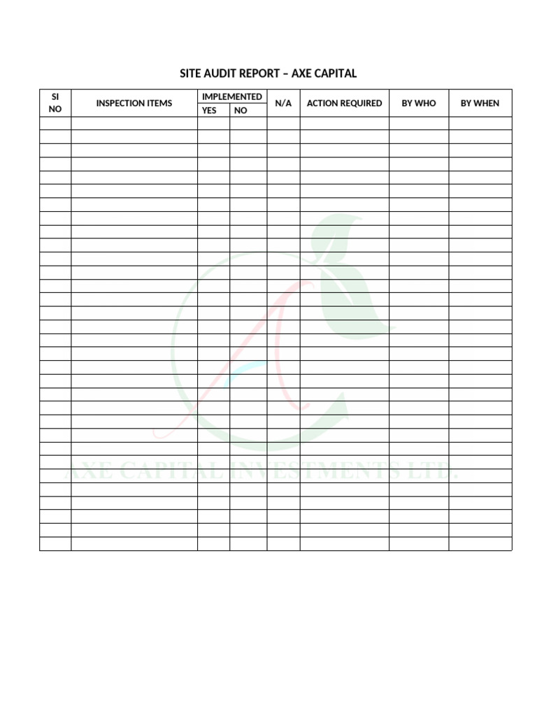 Site Audit Report Template | PDF
