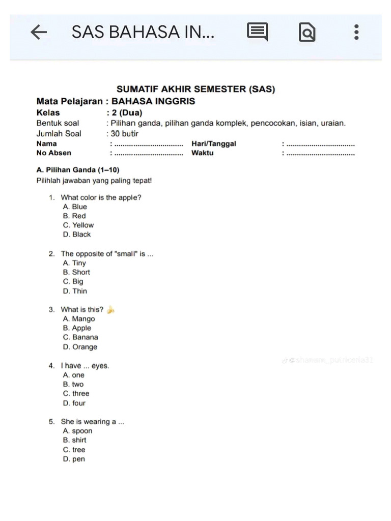 Bing SAS 2 Kls 2 | PDF